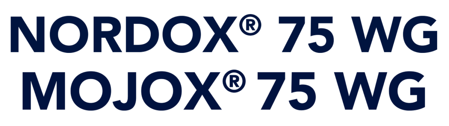 Nordox 75 WG / Mojox 75 WG AMM dérogatoire sur houblon - Certis Belchim